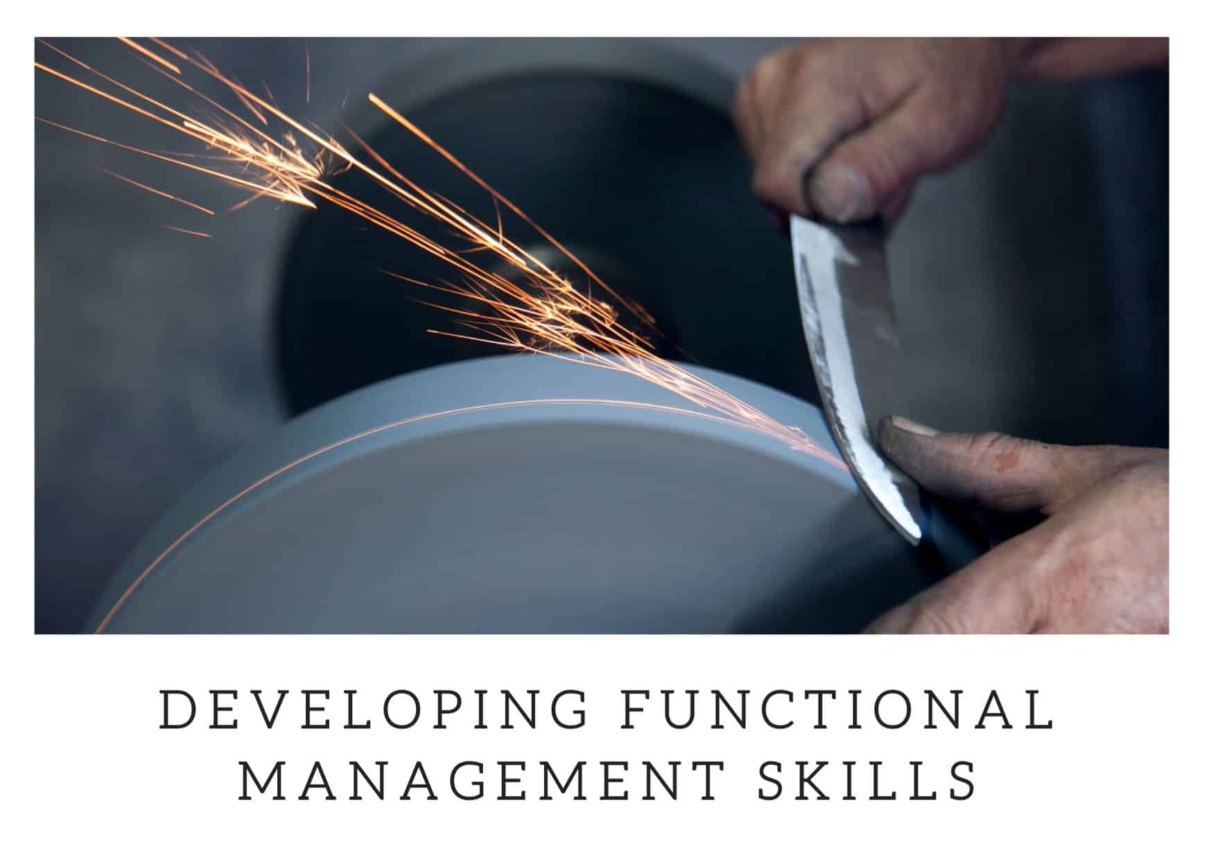 Webinar: Developing Functional Management Skills – POWERinU Singapore